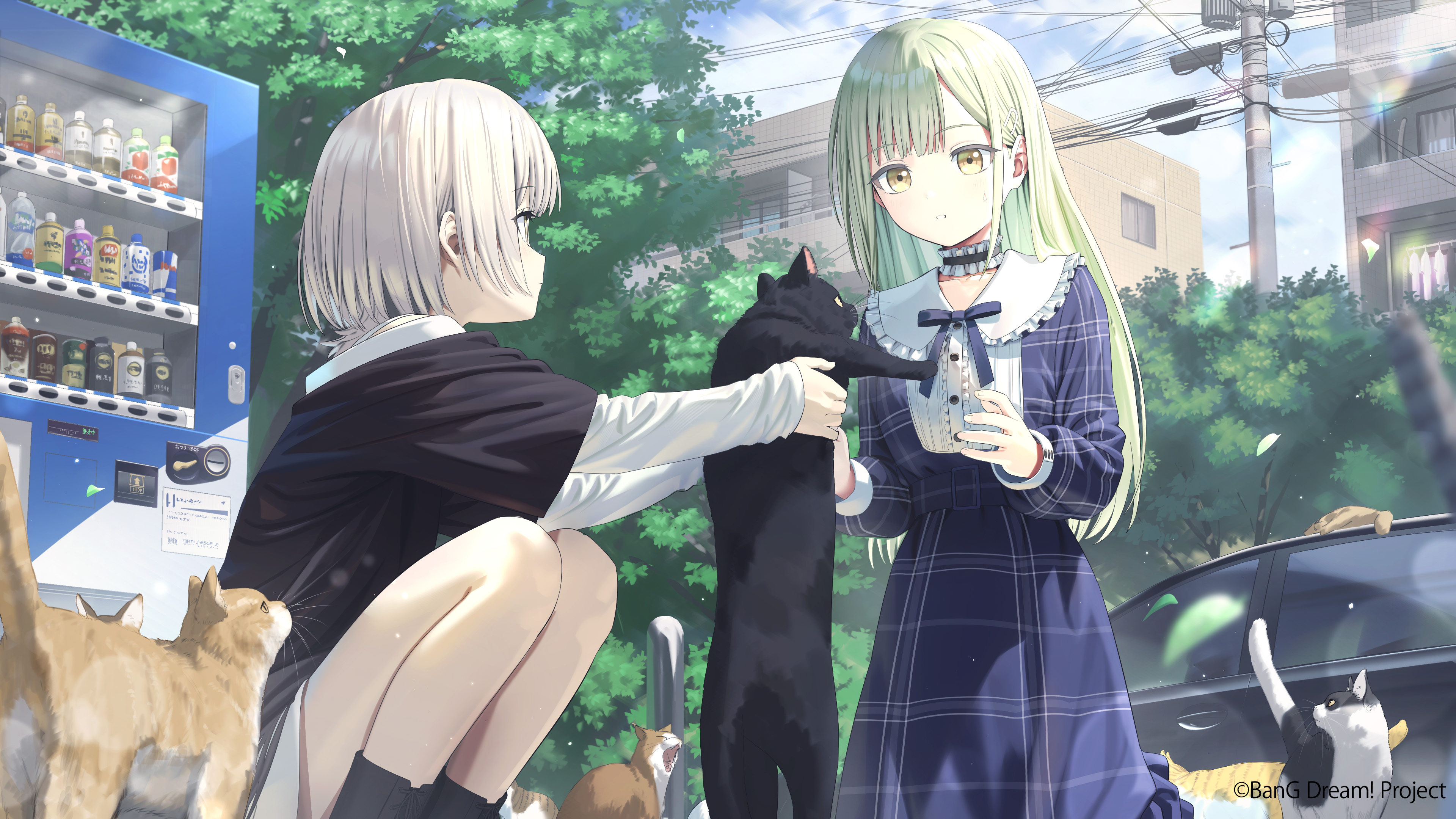 wasabi60 bang dream! bang dream! ave mujica bang dream! it's mygo ...