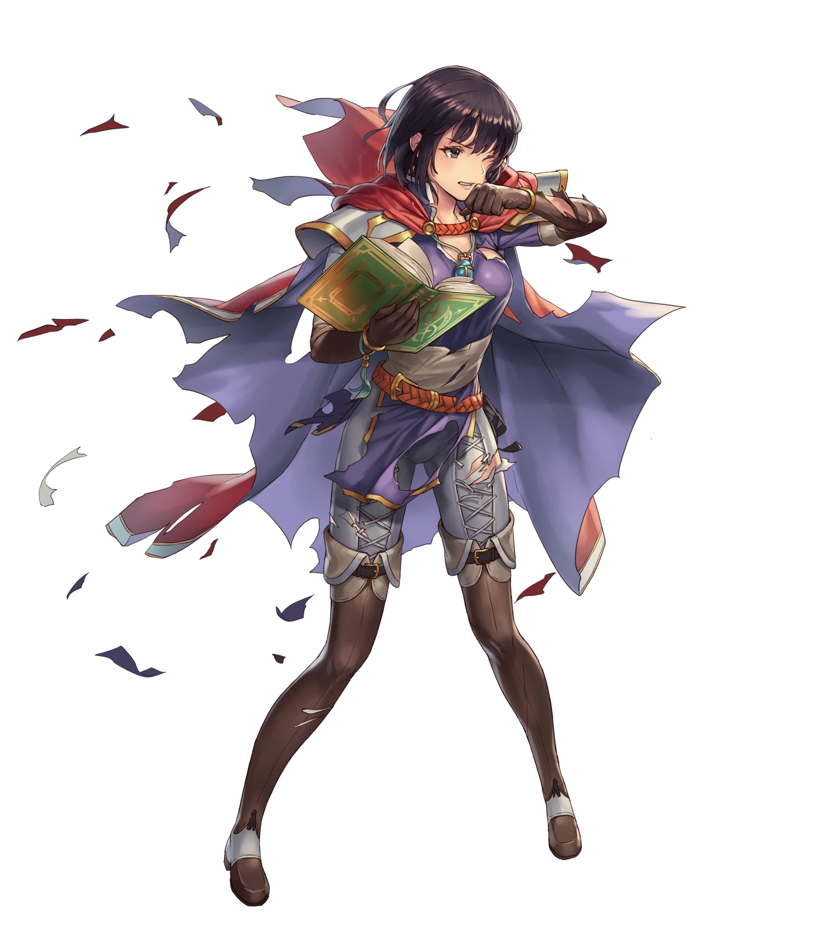 nintendo cuboon fire emblem fire emblem: thracia 776 fire emblem heroes ...