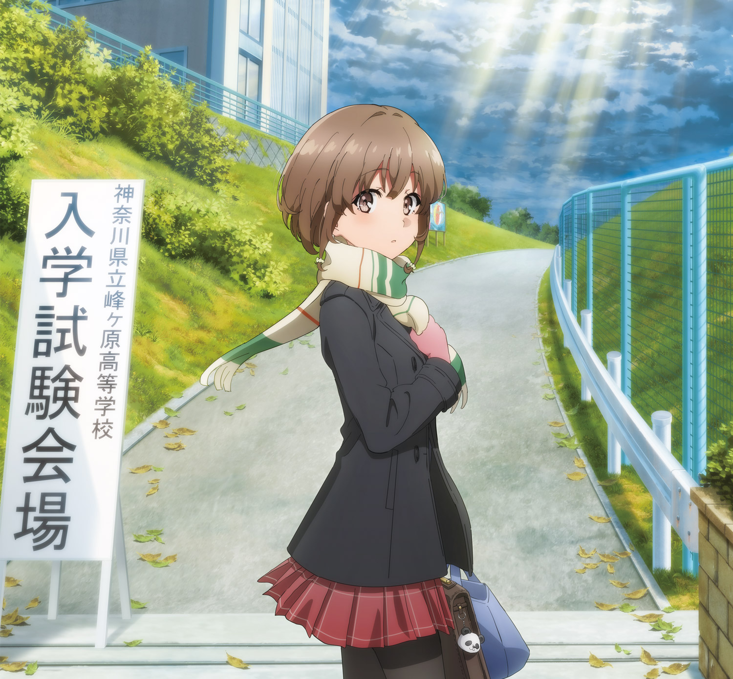 mizoguchi keiji seishun buta yarou series azusagawa kaede pantyhose ...