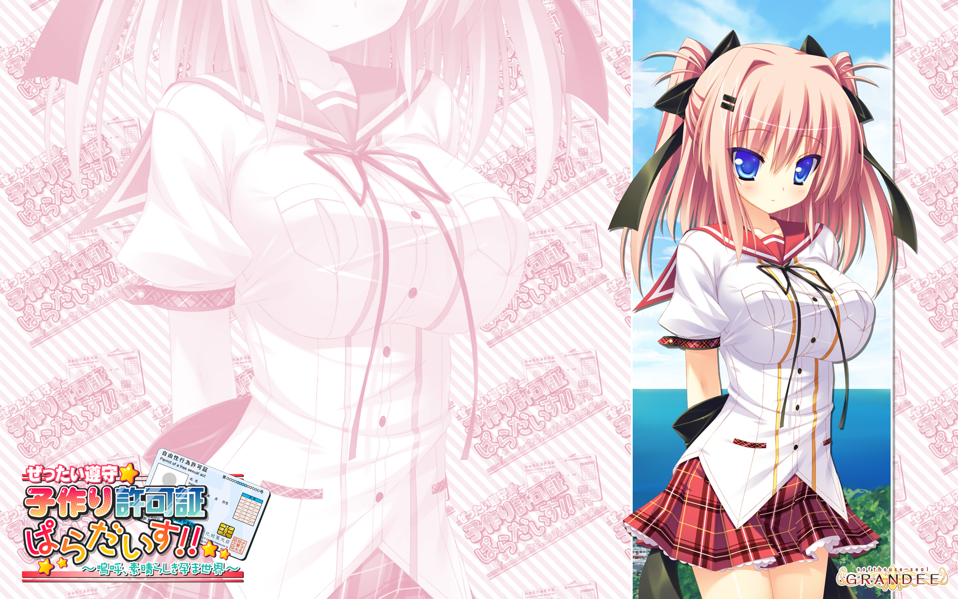 softhouse-seal grandee zettai junshu kozukuri kyokashou paradise ...