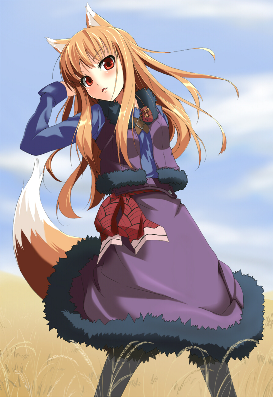 grune (artist) spice and wolf holo animal ears tail | #147043 | yande.re