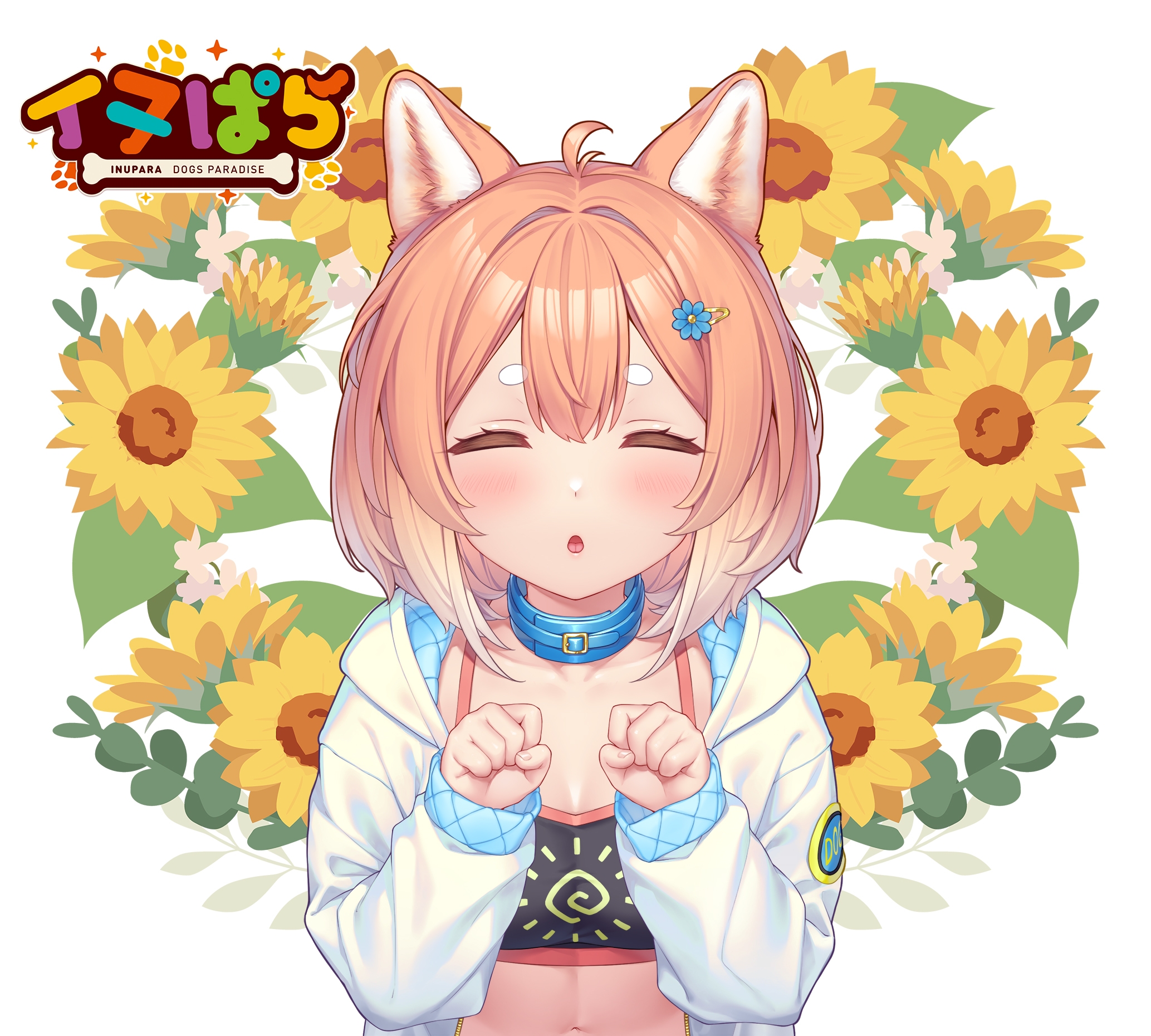neko works sayori inupara himawari (inupara) animal ears bra inumimi ...