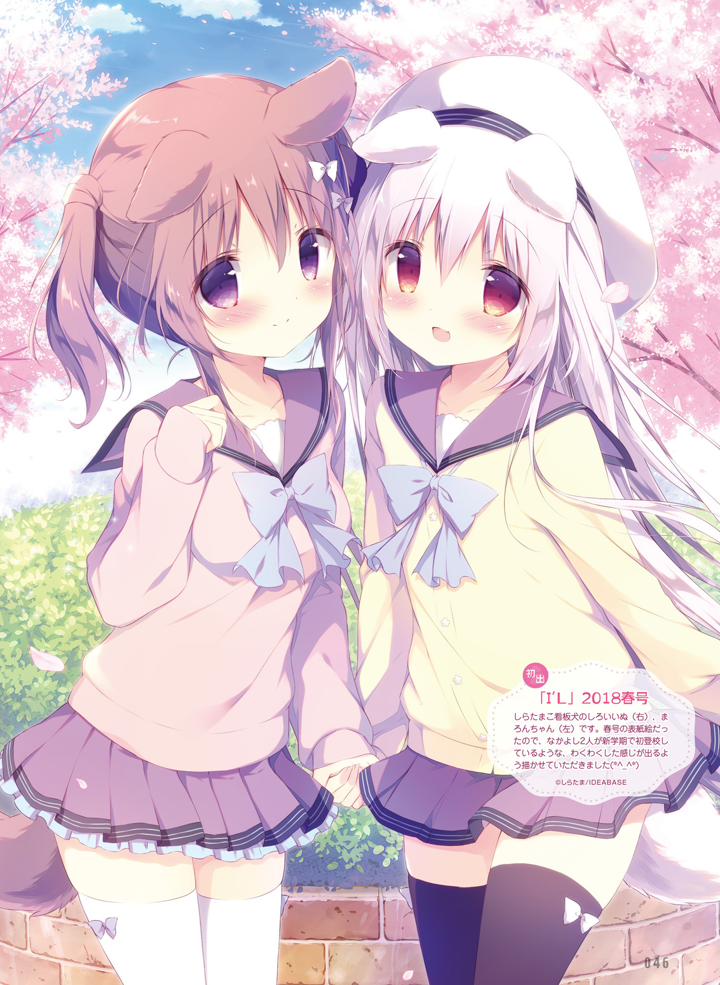 shiratama marron (shiratama) shiroi inu animal ears seifuku sweater ...