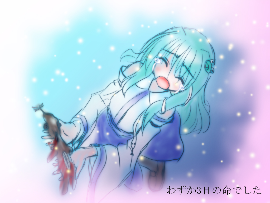 akashio pikmin touhou kochiya sanae wallpaper | #68946 | yande.re