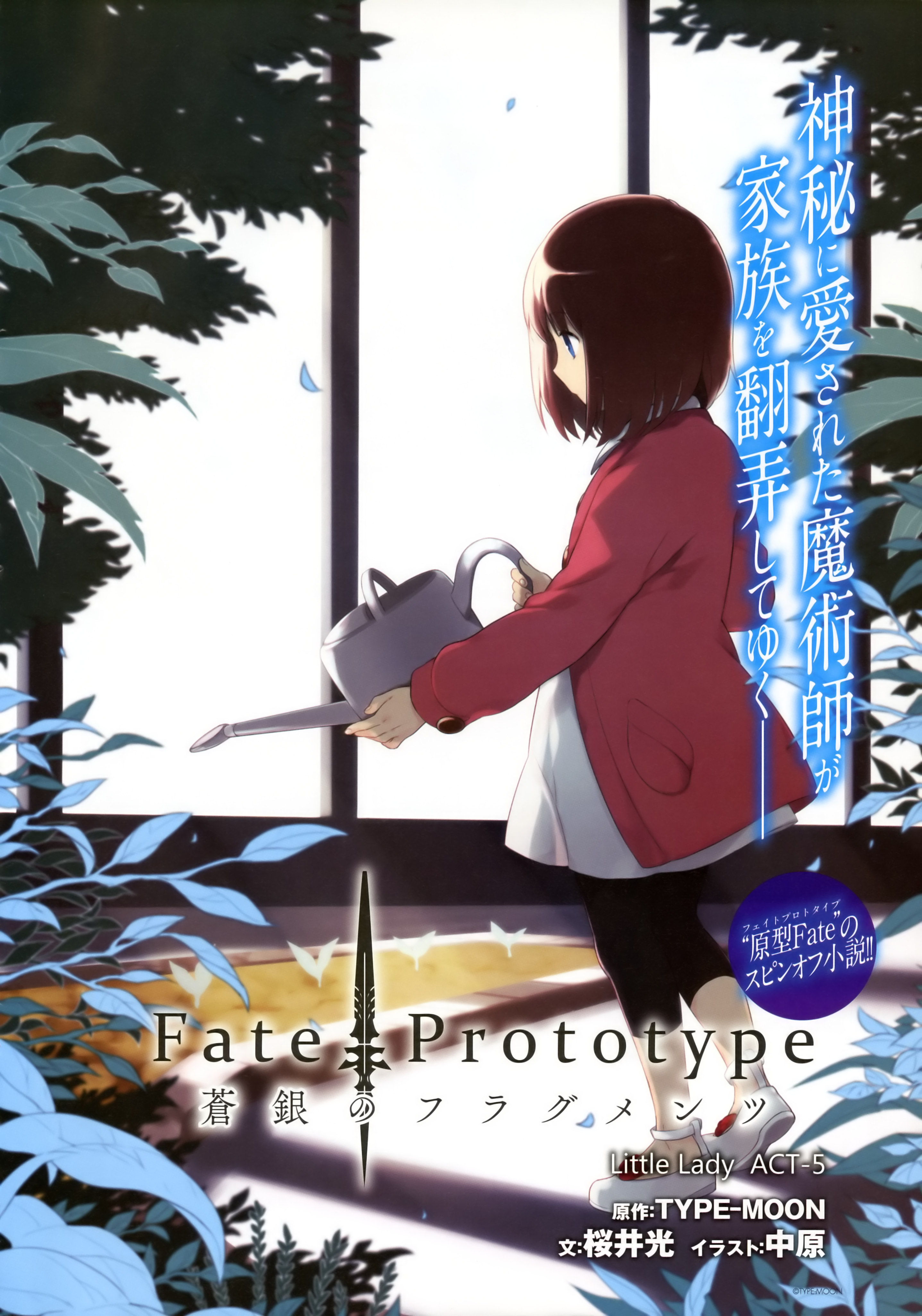 type-moon nakahara fate/prototype fate/prototype: fragments of blue and ...