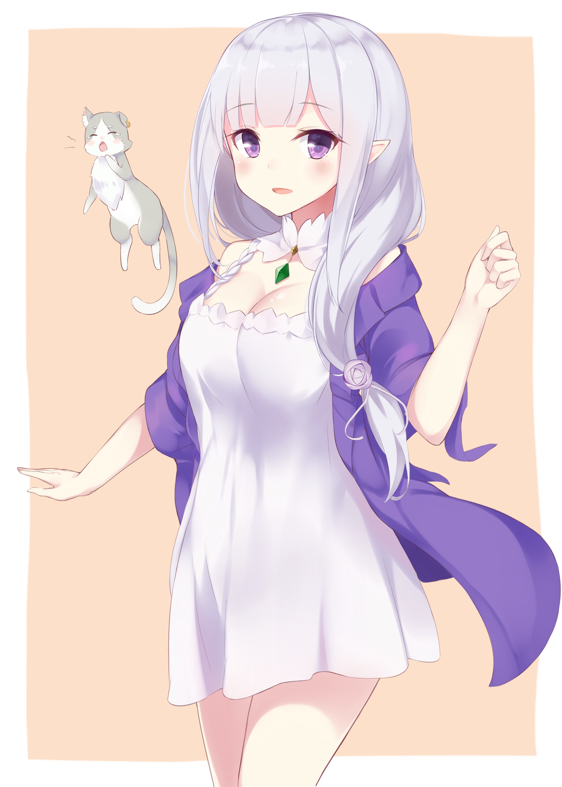 takehana note re:zero kara hajimeru isekai seikatsu emilia (re zero ...