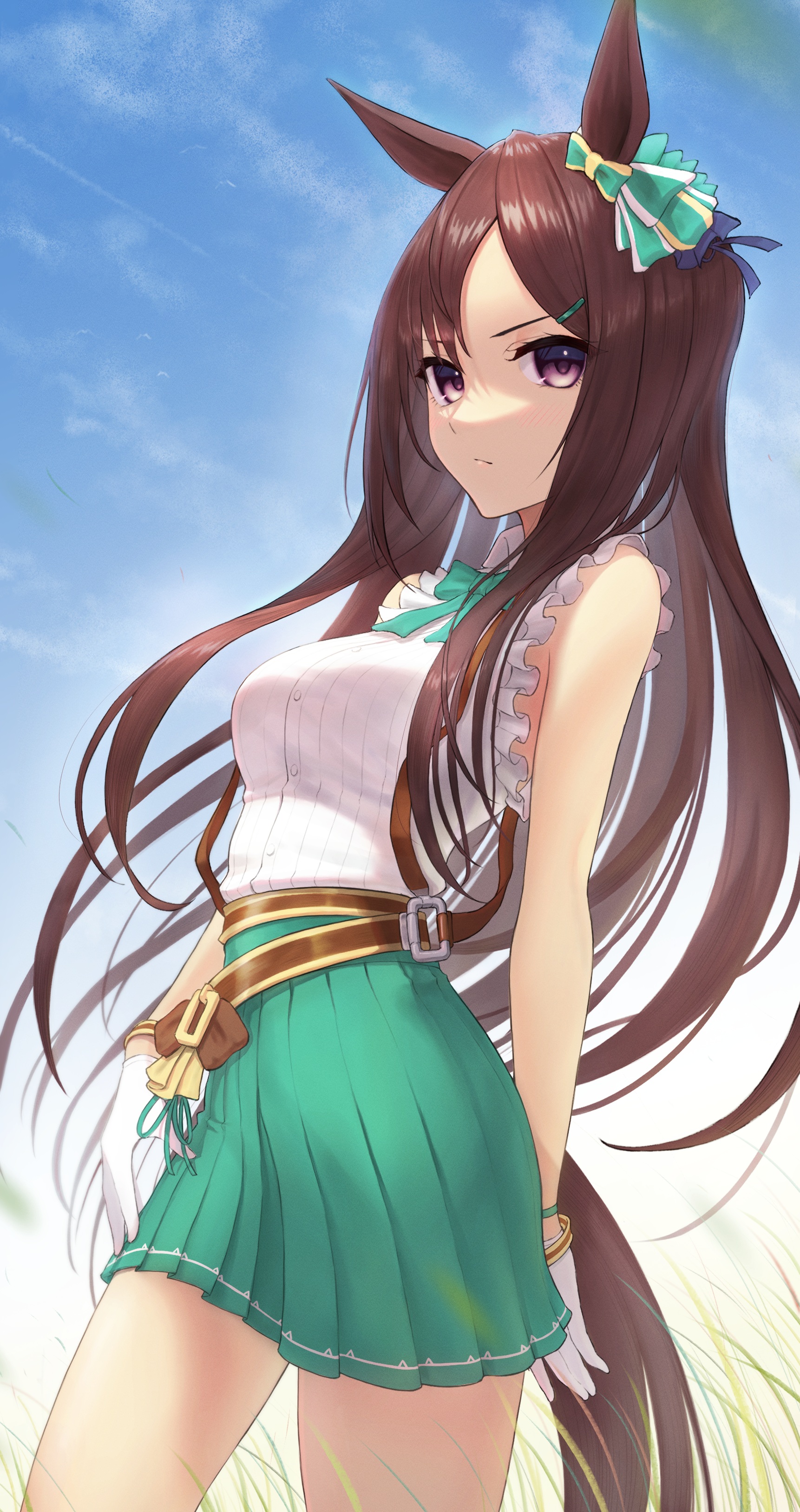 haimine uma musume pretty derby mejiro dober (umamusume) animal ears ...