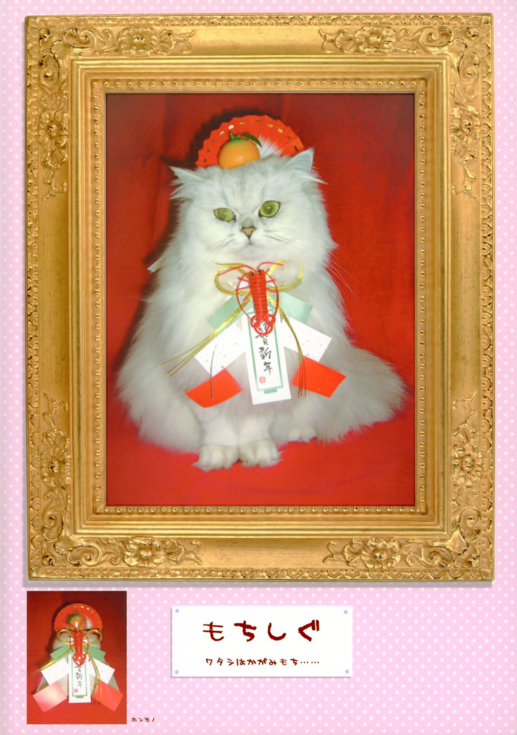 shigunyan's cat neko photo | #103875 | yande.re