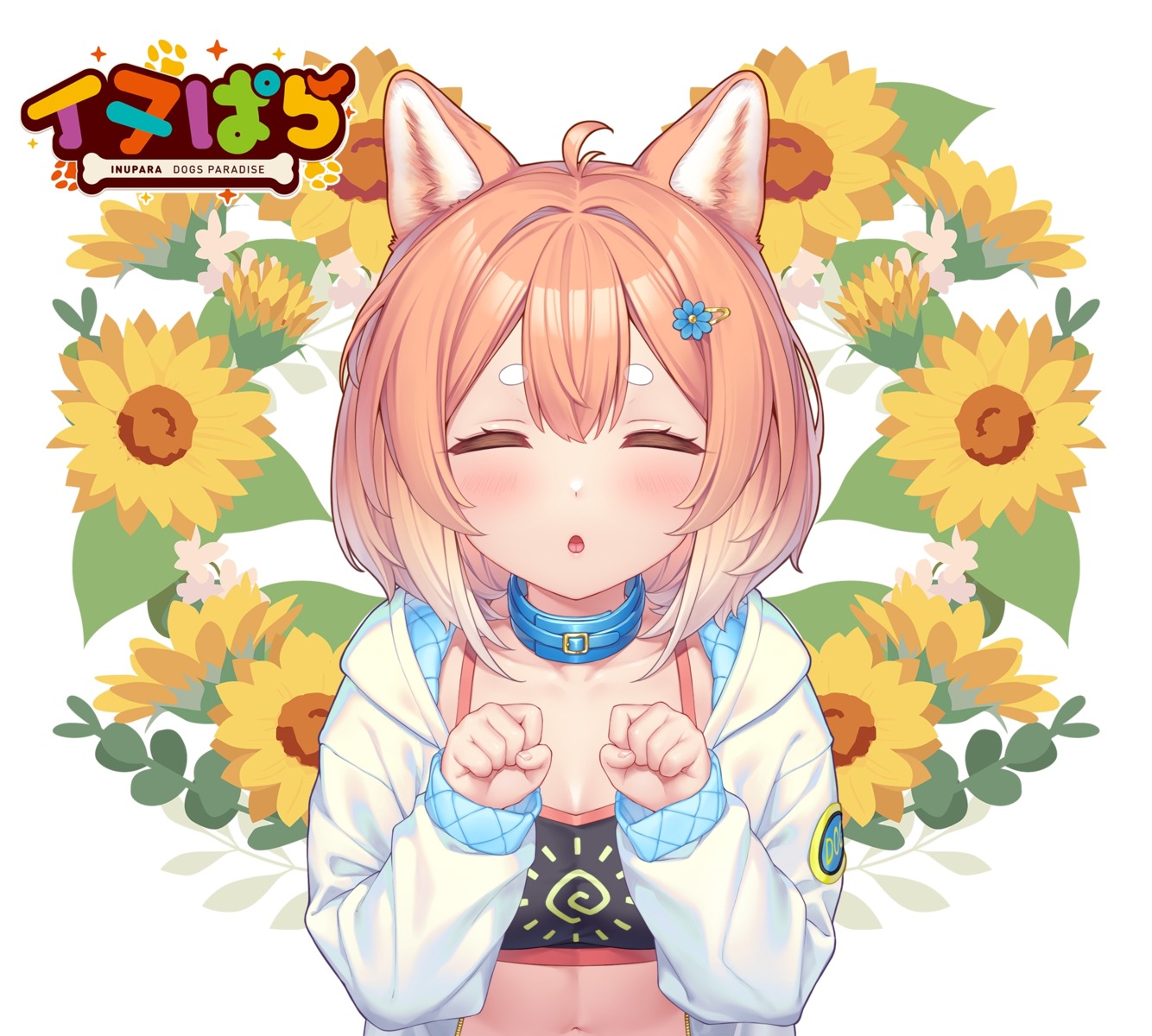 neko works sayori inupara himawari (inupara) animal ears bra inumimi ...