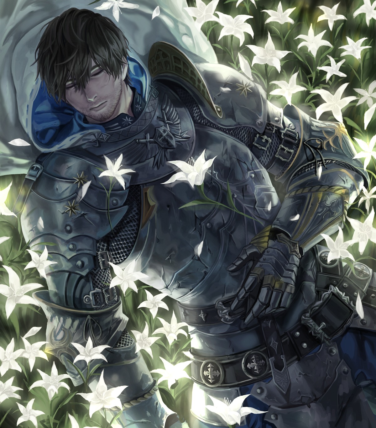 on (pixiv 2941219) final fantasy final fantasy xiv paladin (final ...