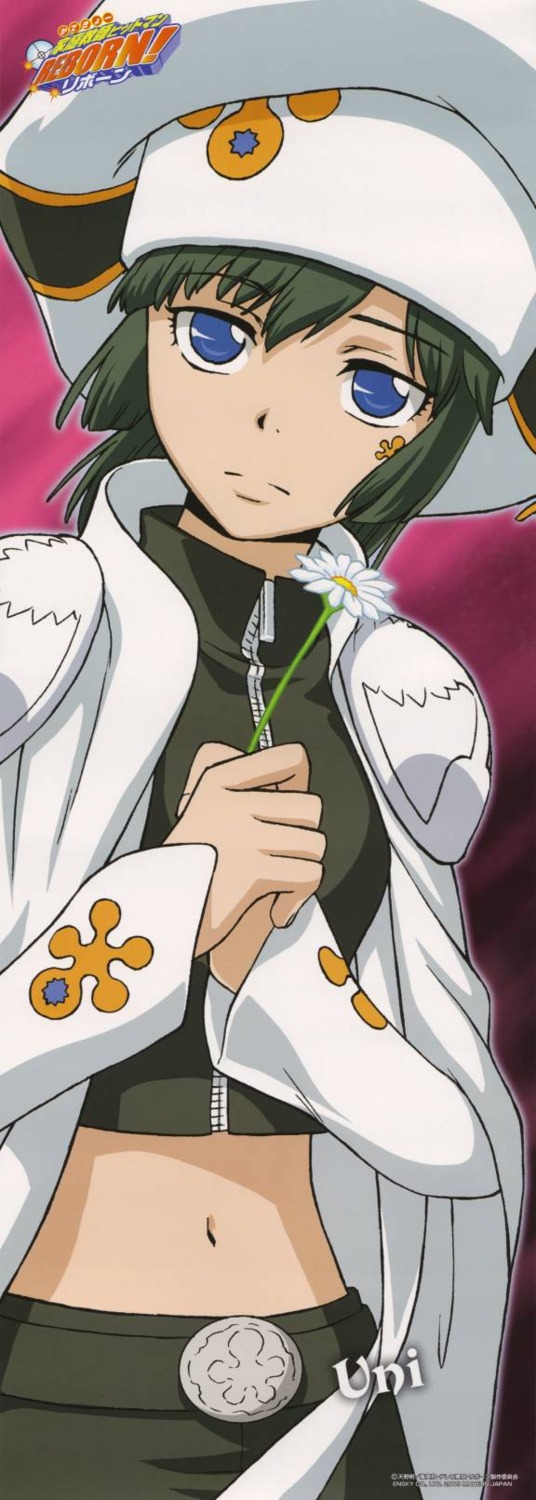 katekyo hitman reborn! uni (reborn) stick poster jpeg artifacts ...